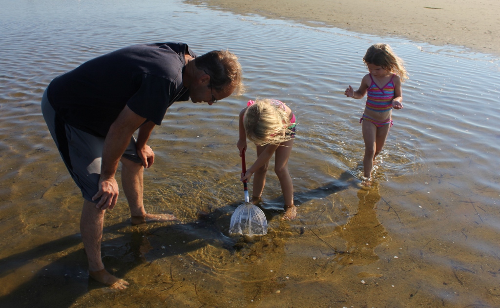 The Beach – Kalmar Village – (508) 487-0585